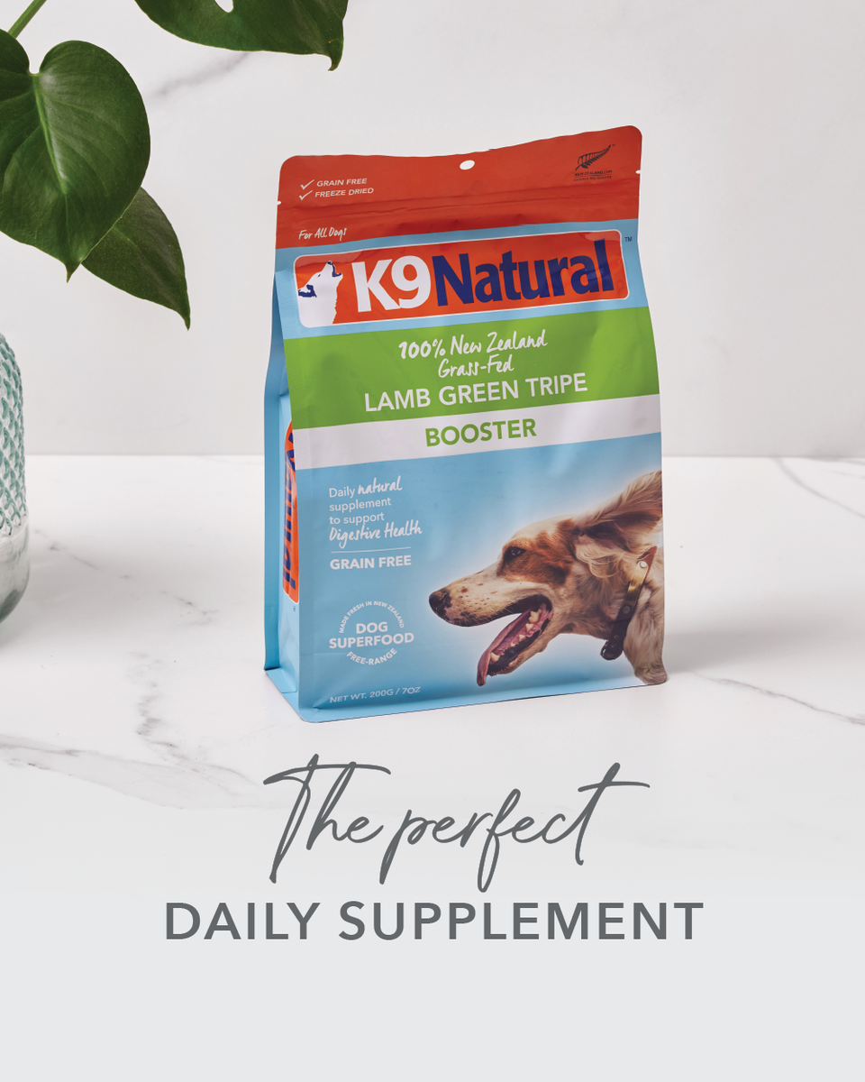 K9 Naturals - Lamb Green Tripe Freeze-Dried Booster – Fangs & Fur
